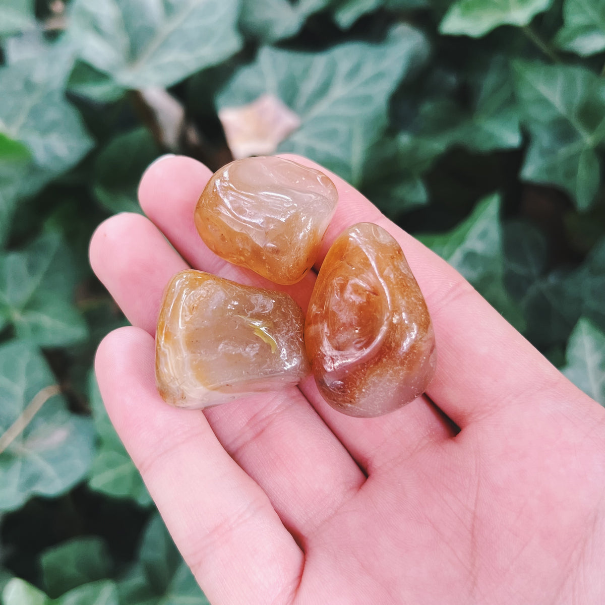 (1) Honey Agate Tumbled – my crystal earth